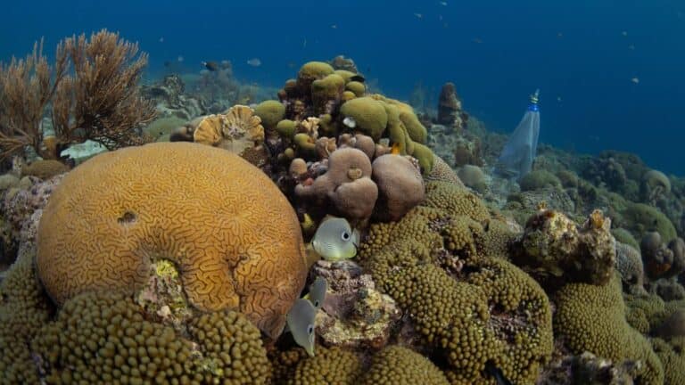 “They’re Still Alive”: Scientists Stunned After Finding Thousands of ...